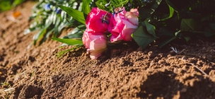 NEW DIMENSIONS | Burial, Funeral planning, Cremation - Procompare.co.za