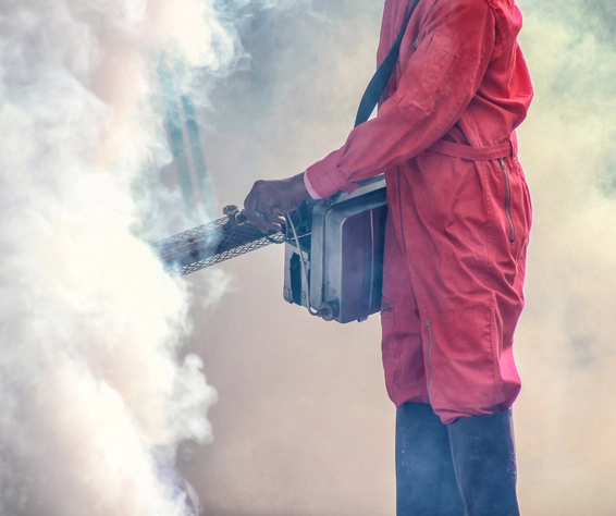 Pricelist - prices 2025: Pest fumigation - Procompare.co.za