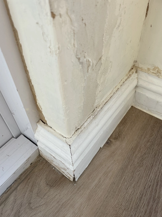 How to fix damp patches on walls quickly and effectively? - Procompare ...