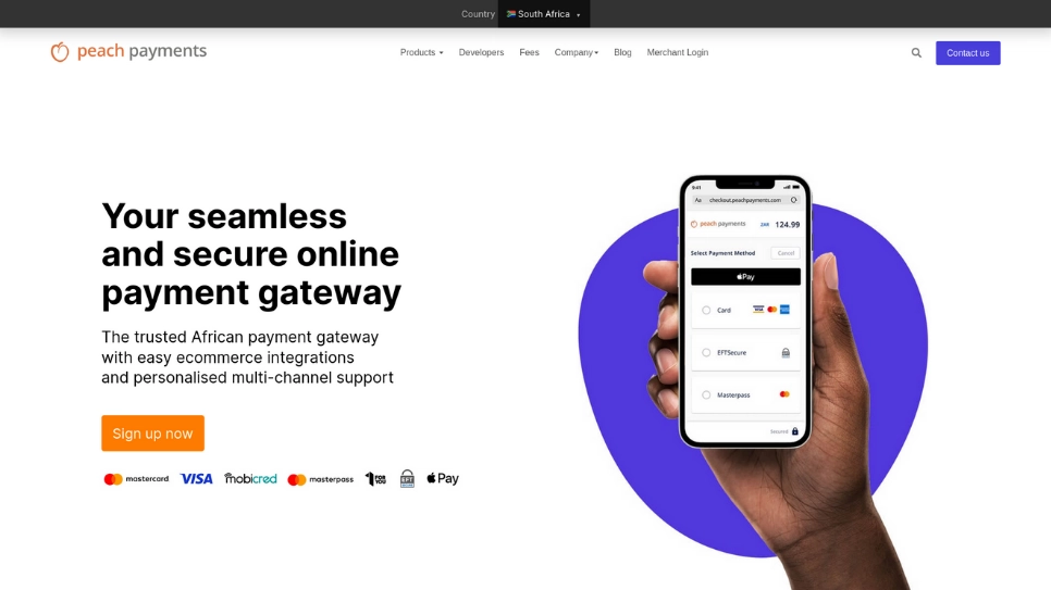 The best payment gateway for South African e-commerce - Procompare.co.za