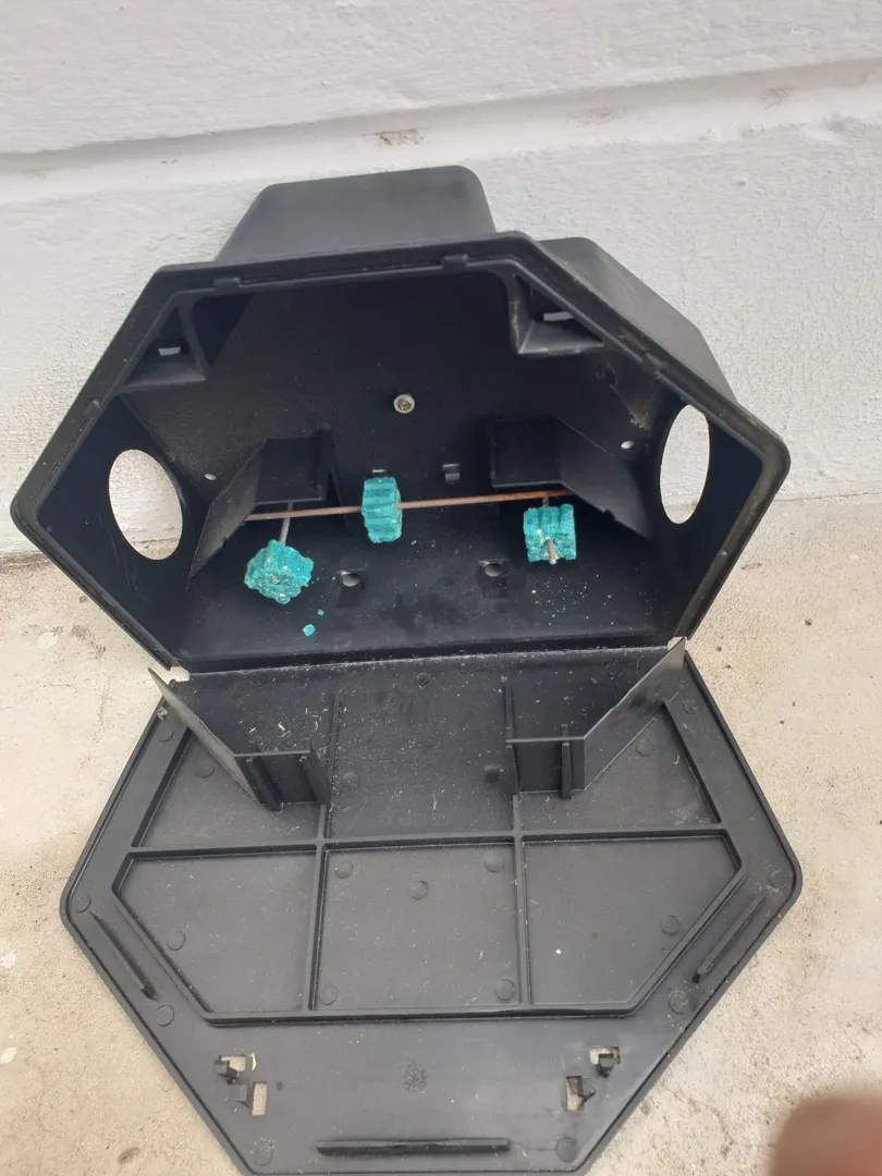 Ella pest solutions | Fumigation, Pest control, Pest inspection ...