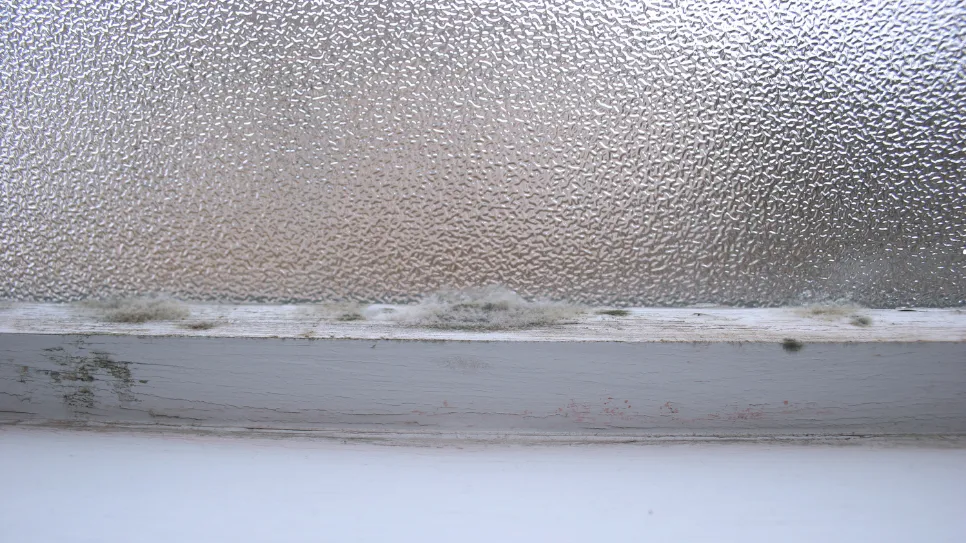 3 effective methods to repair window sill cracks: which one works the ...